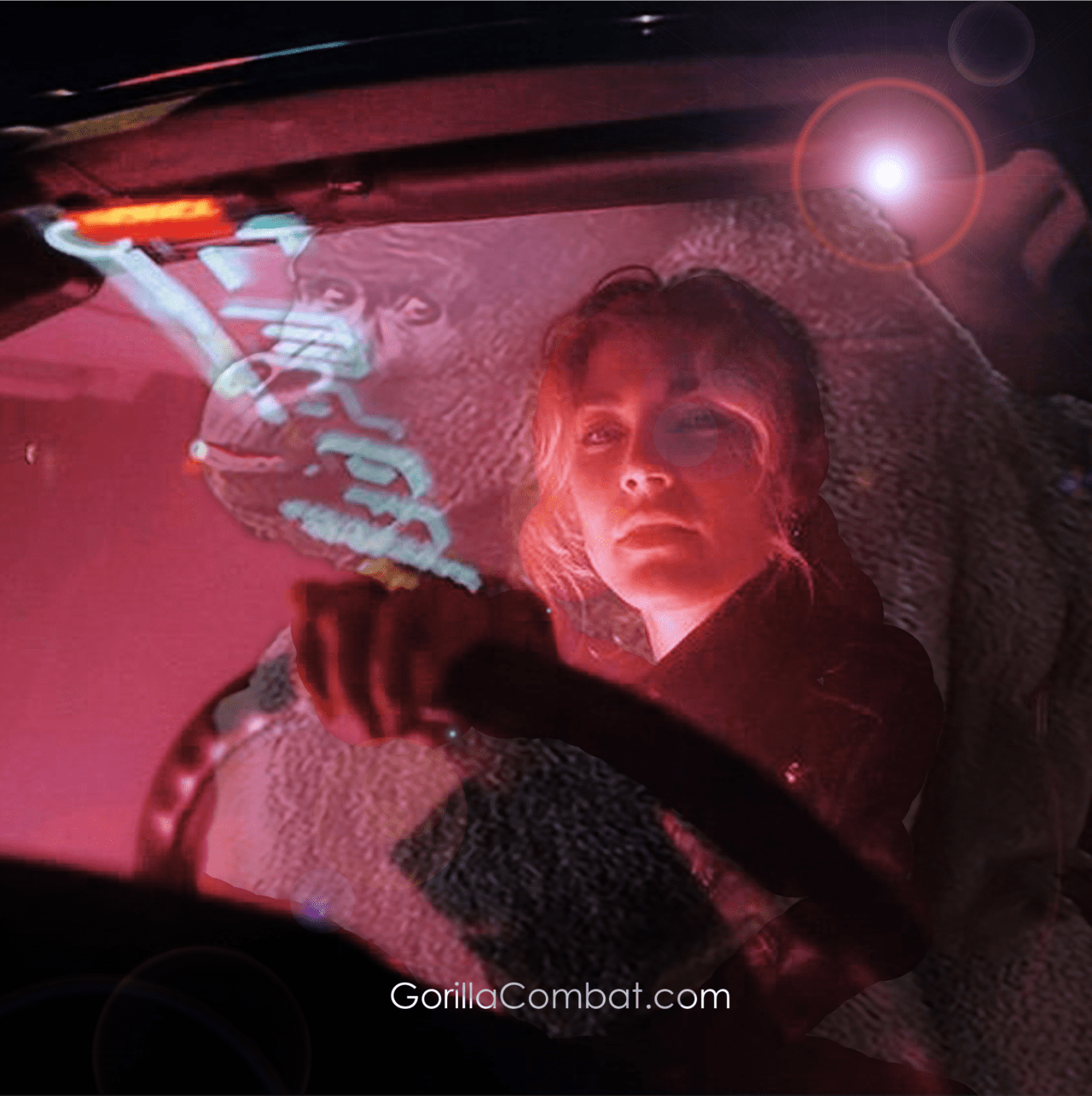 'Reflection' 22 | Gorilla Combat